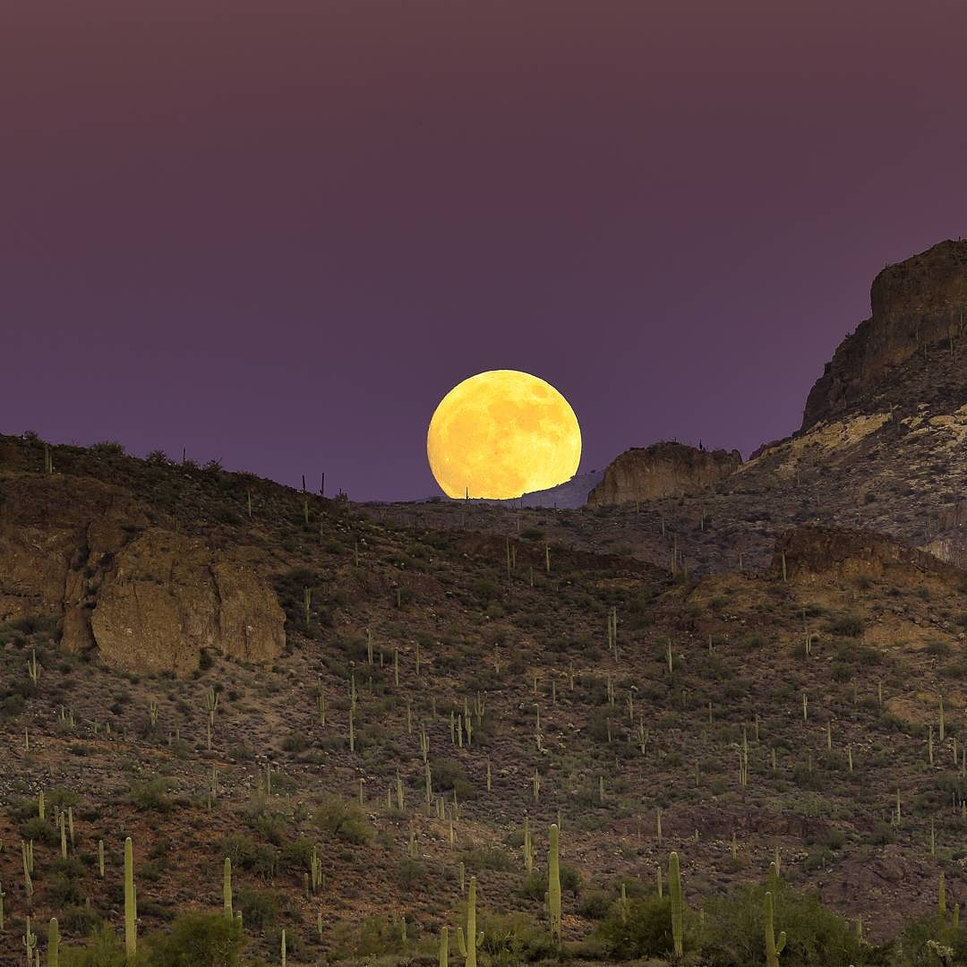 Sonoran Super Moon – Canna Solar