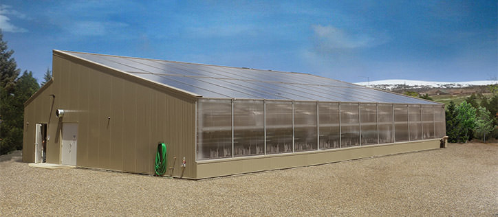 RENEWABLE ENERGY: SMART GREENHOUSES GENERATE SOLAR POWER AND GROW CROPS ...